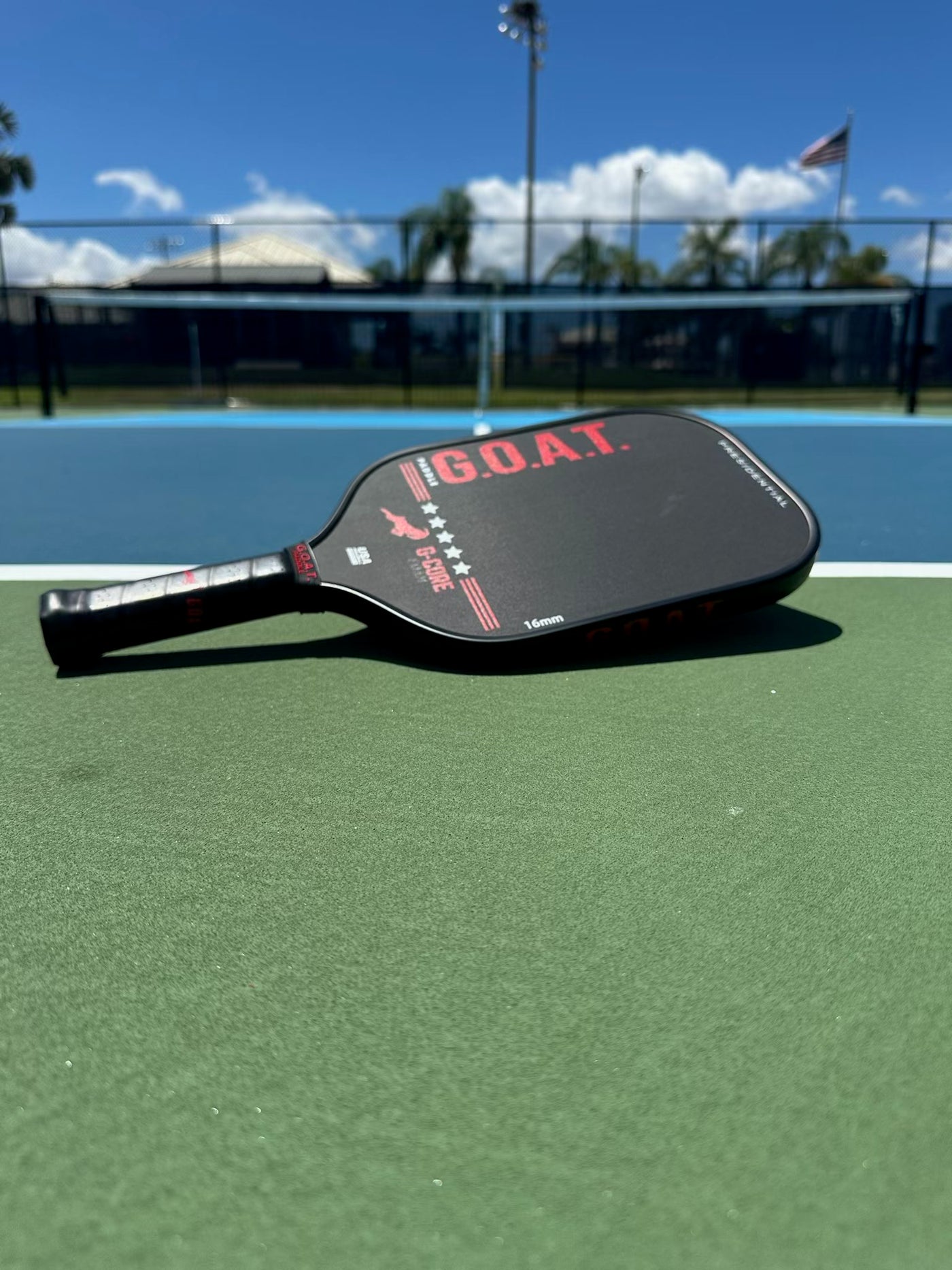 We Live Pickleball. Welcome to G.O.A.T. Paddle | G.O.A.T. Paddle